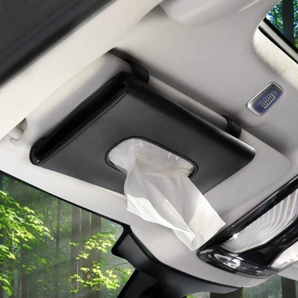 Visor Organizer