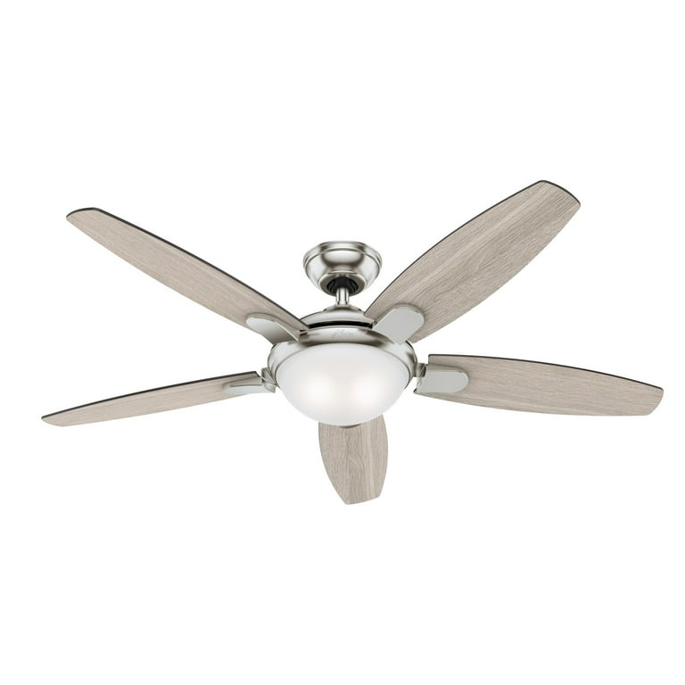 Hunter 54 Inch Contempo Ceiling Fan | Shelly Lighting
