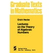 The Theory of Algebraic Number Fields (Hardcover) - Walmart.com