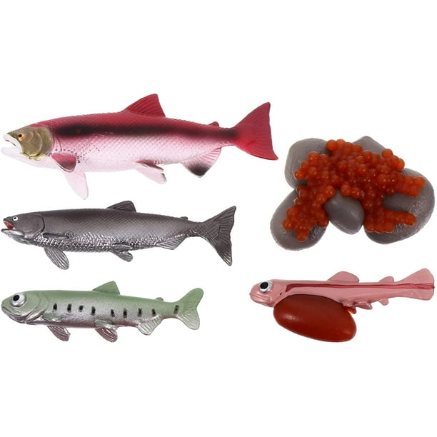 1 Set Mini Sea Animal Life Cycle Figurines of Salmon Fish Biology ...