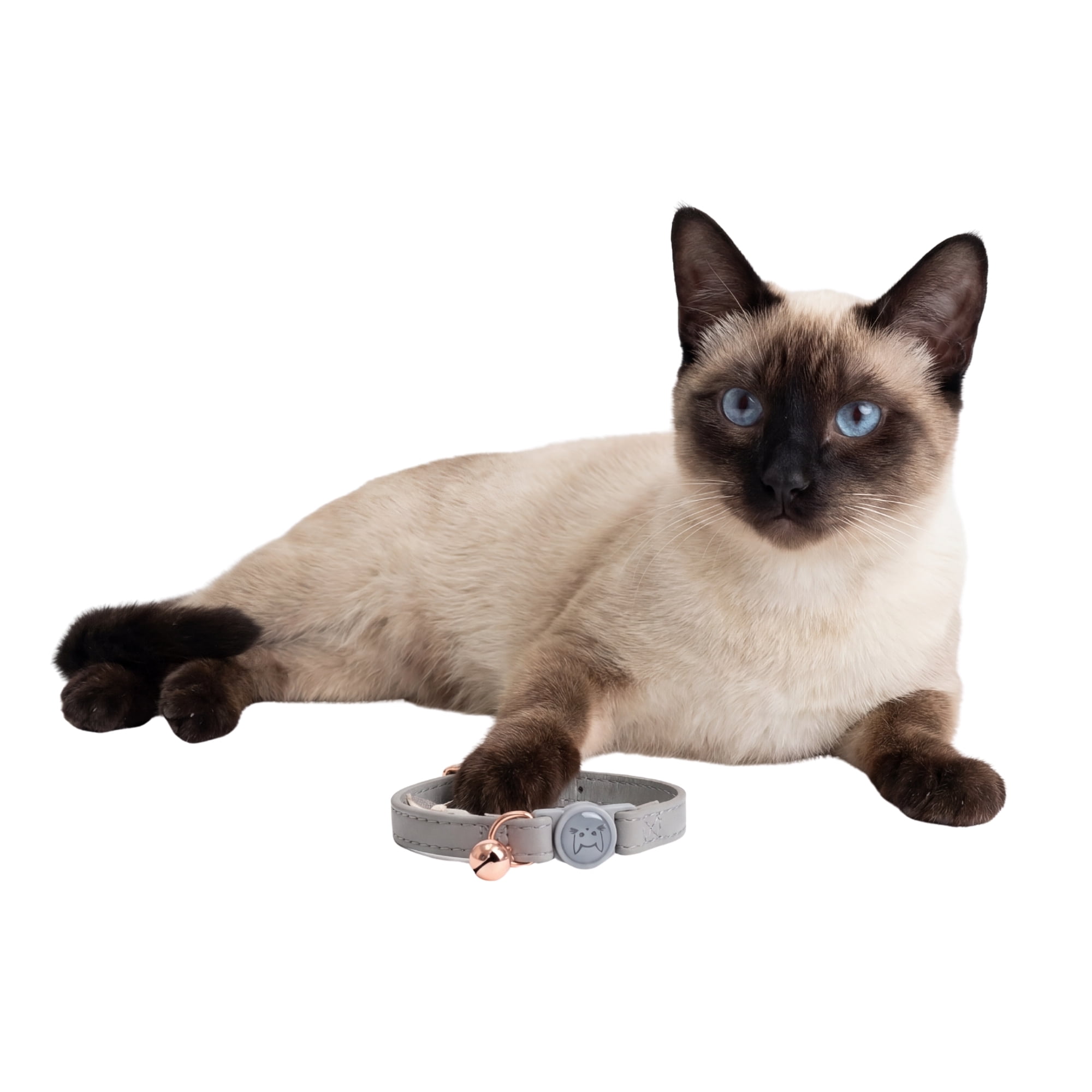 Click here for One Paw  Vegan Leather Safety Cat Collar  Breakawa... prices