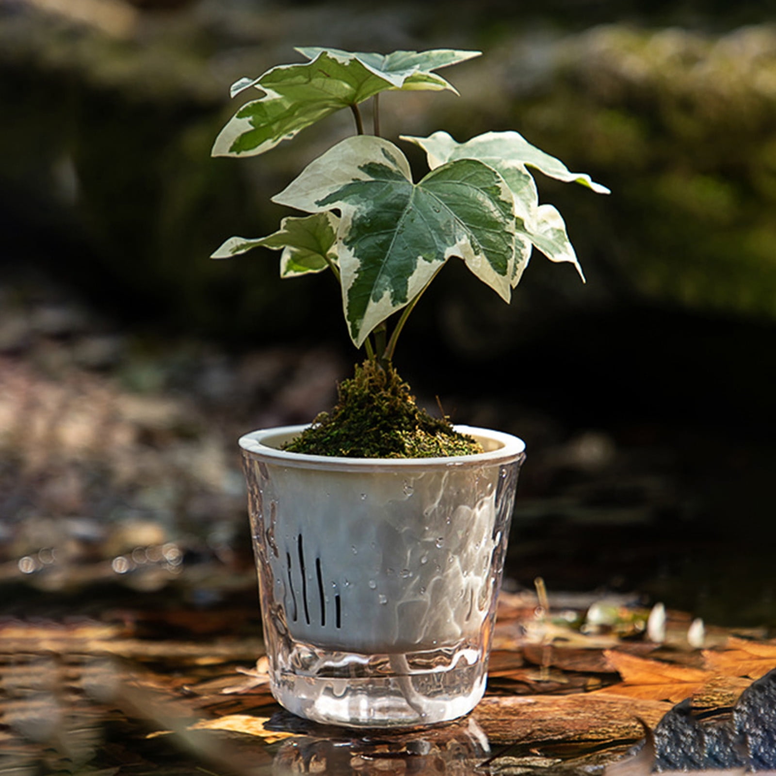 Click here for Jzchuntoy 1pcs Transparent Diamond Self-Watering P... prices