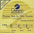 Daywind Soundtracks: Praise You in the Storm (Audiobook) - Walmart.com