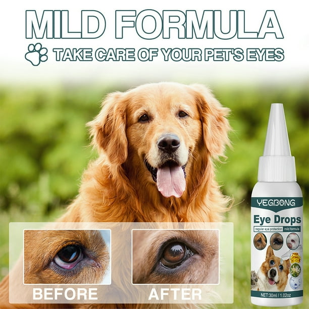 Eye Ointments Dogs
