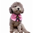 1 set of cute purple pet saliva towels for cats and puppies Thai school ...