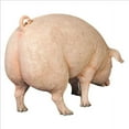 Design Toscano Divine Swine Life-Size Farm Pig Statue - Walmart.com