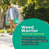 Sunday Weed Warrior Non-Selective Herbicide Gallon Sprayer 1 gal./128 ...