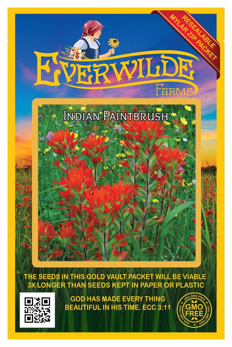 Everwilde Farms - 800 Indian Paintbrush Native Wildflower Seeds - Gold ...