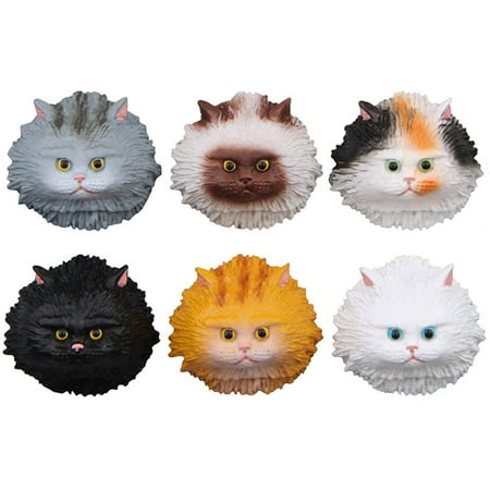 6 Pack Funny Glass Magnets for Refrigerator - Cat Decorative Magnets ...