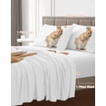 4 Piece King Sheet Set Funny Bunny Sheets Set for King Size Bed ...