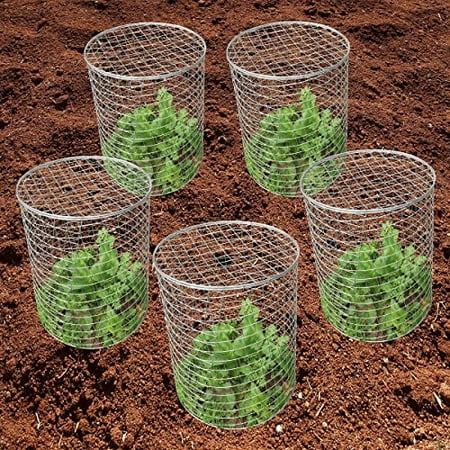 Mr. Garden Pest-Pet-Off Steel Wire Barrier Mesh Basket, Chicken Wire ...