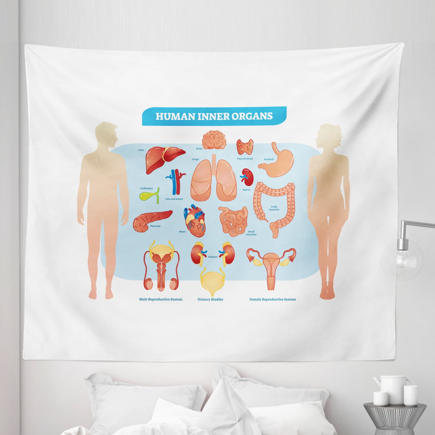 Anatomy Tapestry, Human Inner Organs List Infographic Male Female Body ...
