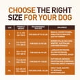 Wildfang, Chewing Root, Size S, Natural Tree Root Chew Toy - Walmart.com