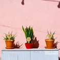 1 Set 15Pcs Wood Plant Labels for Seed Potting Herbs Flowers Vegetables ...