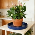 1 Pack 12 inch Plant Saucer Drip Tray, Heavy Sturdy Plastic Planter ...