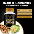 Kings Prostate Defender for Men – KingsProstateDefender Advanced ...