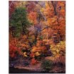 Trademark Art "I love Autumn" Canvas Art by Kurt Shaffer, 18x24 ...