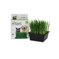 Mini Organic Pet Grass Kit -3 Pack- Grow Wheatgrass for Pets: Dog, Cat ...