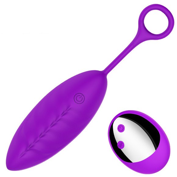 Remote Control Vibrator