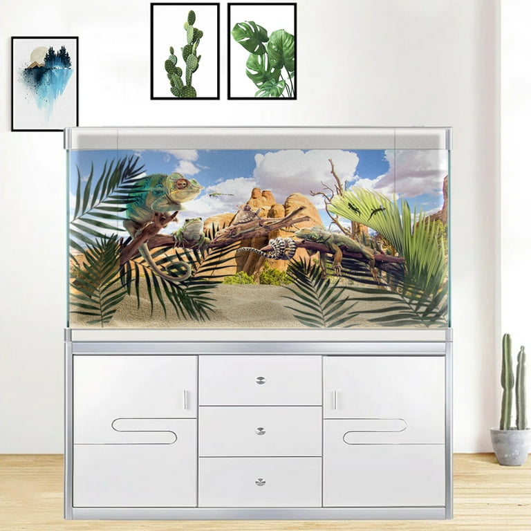 Desert Terrarium Background
