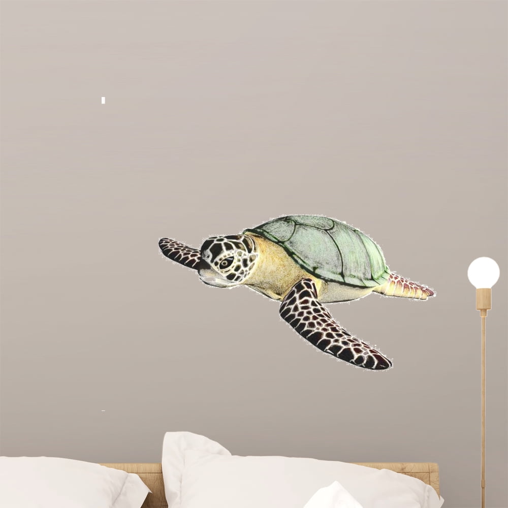 Great Turtle Wall Decal Sticker, Wallmonkeys Peel & Stick Vinyl Graphic ...