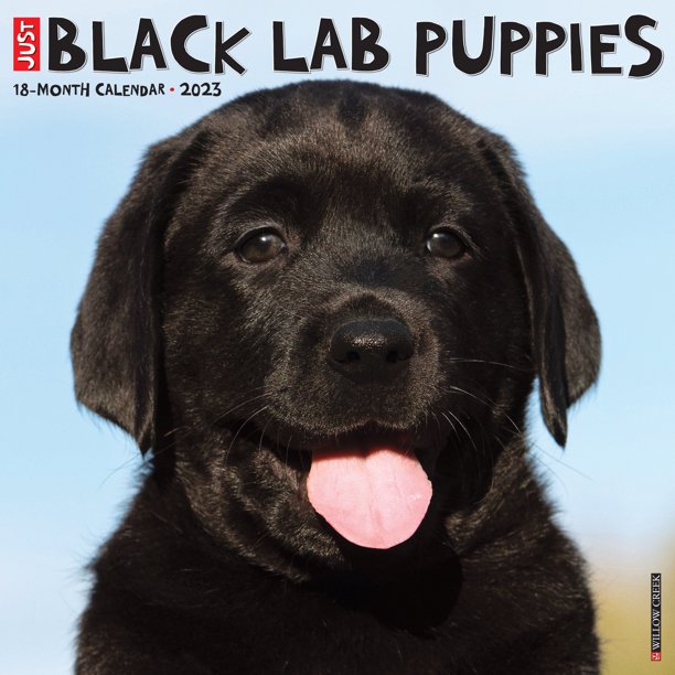 Lab Calendar
