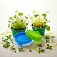 Minzimin 2Pcs Blue and Green Sprouting Lids jar Sprouting for Wide ...