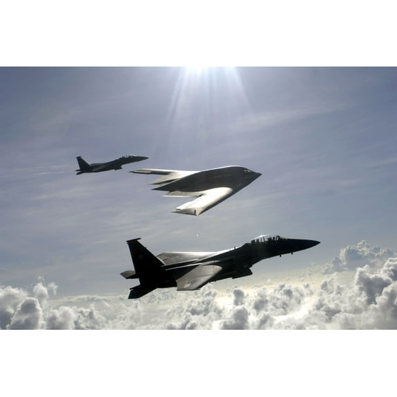 Stealth Bomber Poster Art Poster 24x36 Unframed, Age: Adults, Rectangle ...