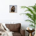 3drose, Musk Ox Bull Wildlife, Arctic Tundra, Alaska, Usa - Us02 ...
