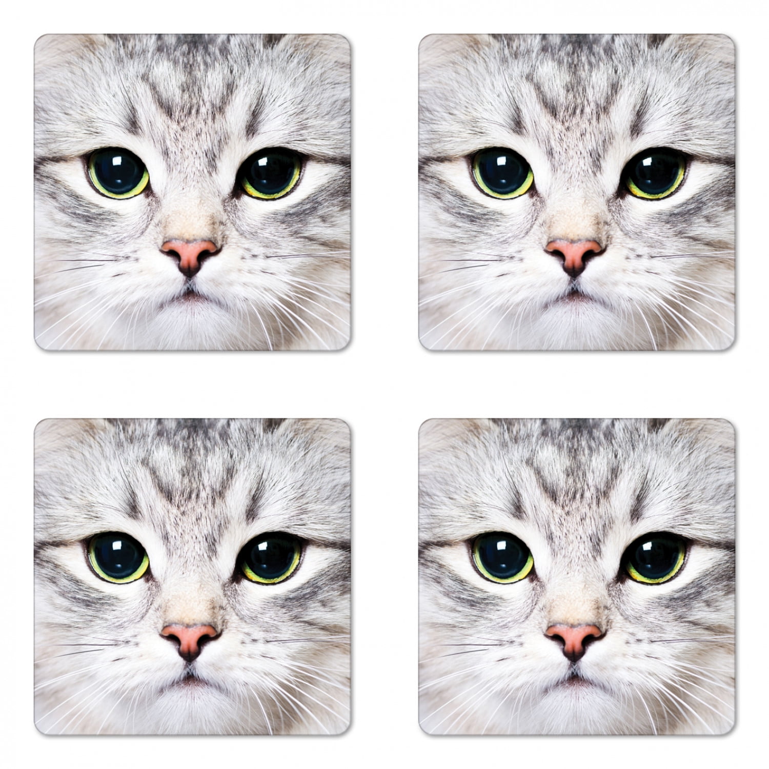 Cat Coaster Set of 4, Cat Print Kitten Kitty Closeup Portrait Digital ...