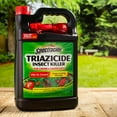 Spectracide Triazicide Insecticide Spray, Outdoor Yard & Garden Bug ...