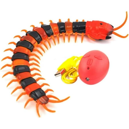 Mandalaa Electric Infrared Rc Centipede Siation Insect Remote Control ...
