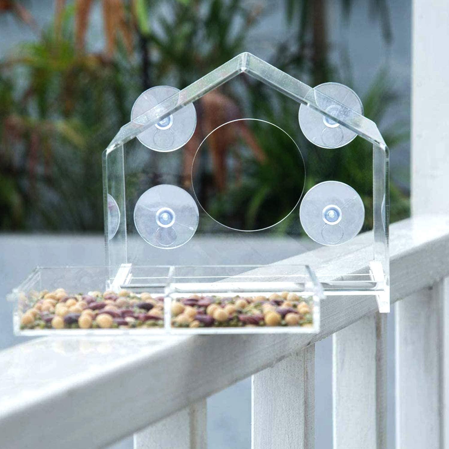 Buy Squirrel Proof Window Bird Feeder with 4 Strong Suction Cups and ...
