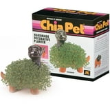 Chia Pet Elephant - Fun and Easy to Grow Decorative Pot for Kids ...