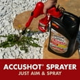 Spectracide Ready-to-Use Weed & Grass Killer, Continuous Accushot Spray ...