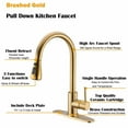 CES Single Handle Brushed Gold Kitchen Faucet with Pull Down Sprayer ...