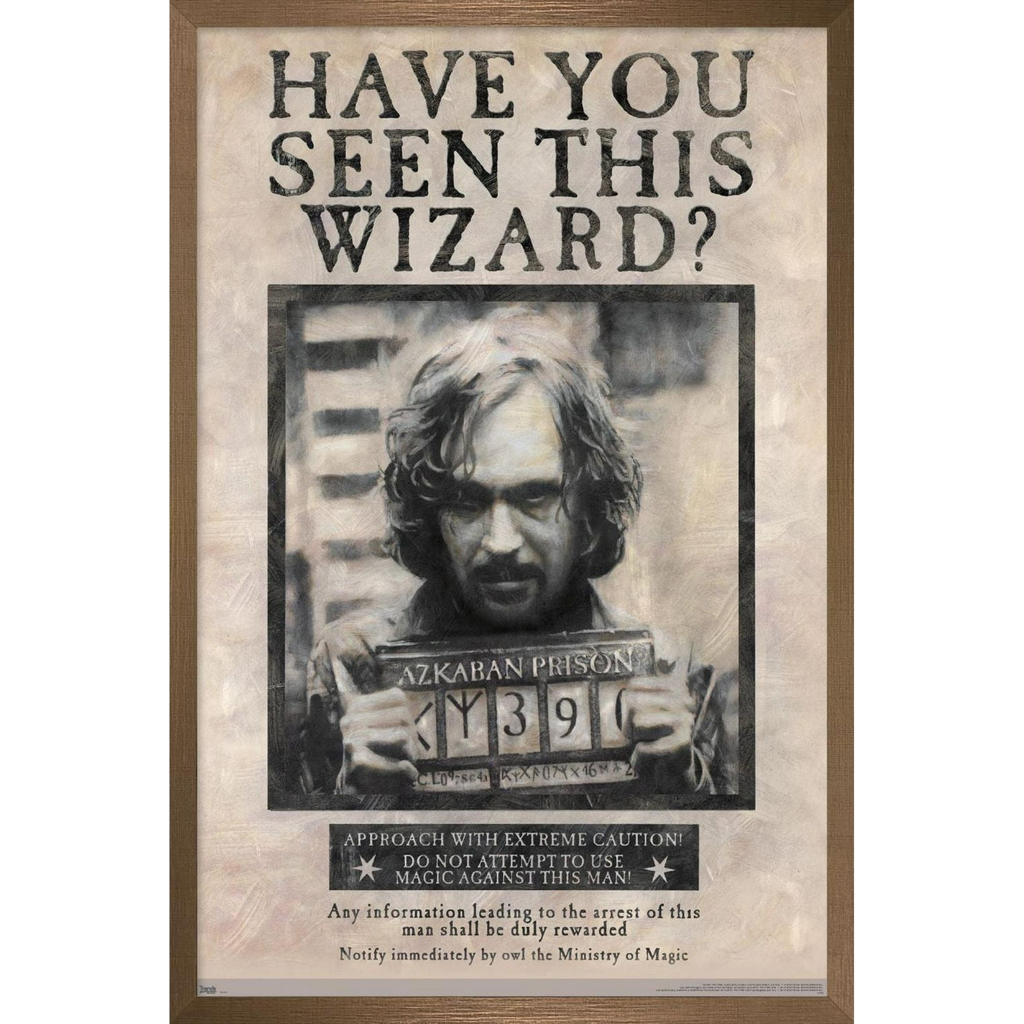 Click here for Trends International The Wizarding World: Harry Po... prices