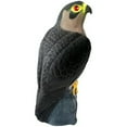 Falcon Decoy Bird Repellent Predator Flashy Reflective Eyes Owl Decoy ...