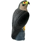 Falcon Decoy Bird Repellent Predator Flashy Reflective Eyes Owl Decoy ...