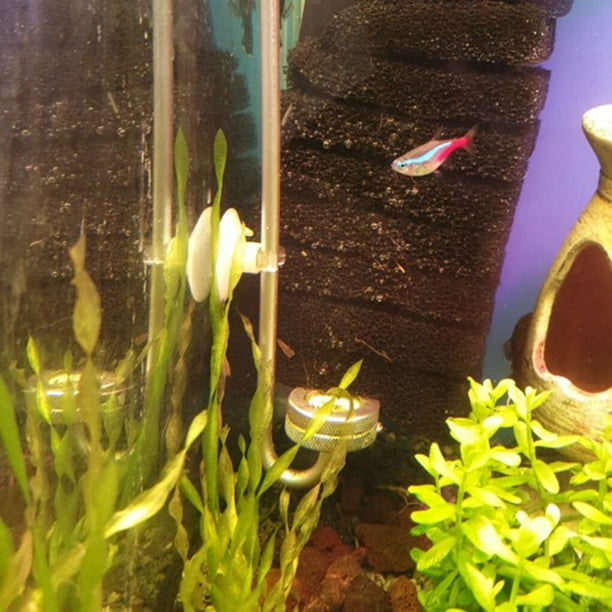 Aquarium CO2 Bubble Diffuser Aquatic Tiny Bubble Plant Stainless Steel ...