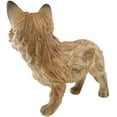 Ebros Realistic Faux Driftwood Finish Snooping Baby Fox Cub Resin ...