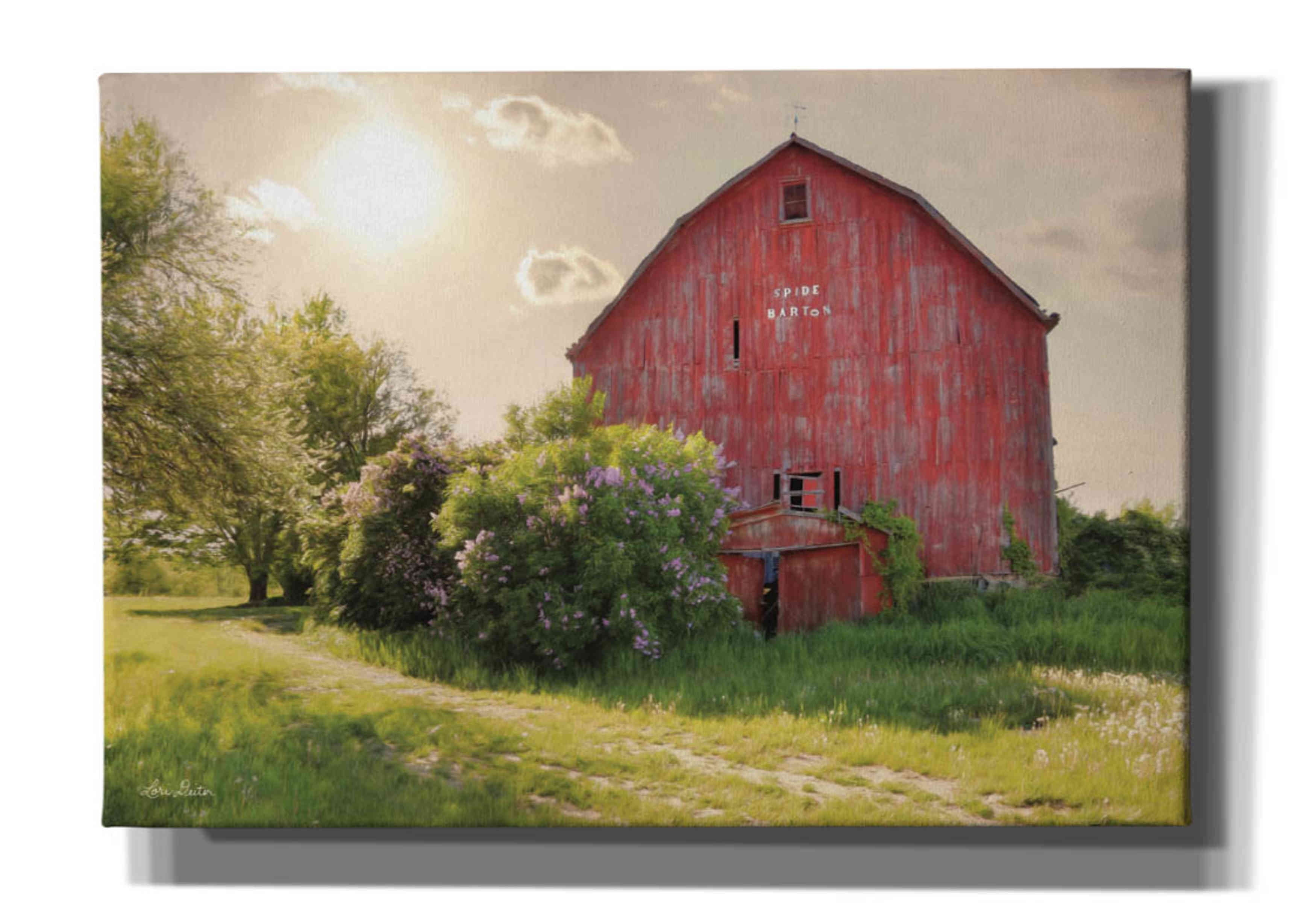 Epic Graffiti 'Spide Barton Barn' by Lori Deiter, Canvas Wall Art, 26 ...