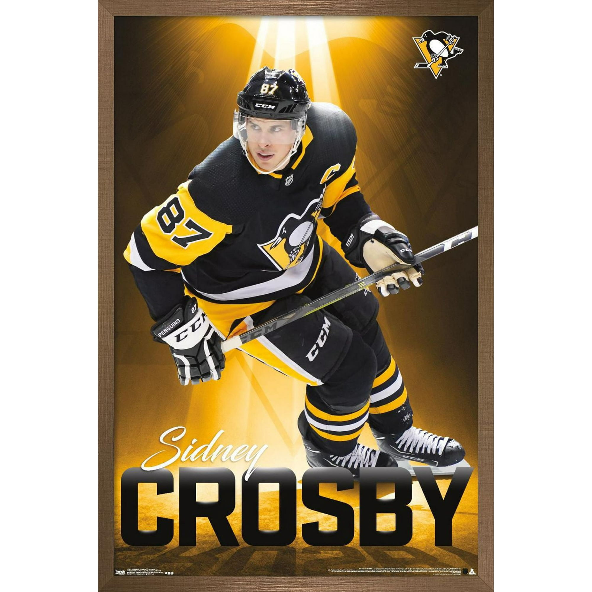 Click here for Trends International Nhl Pittsburgh Penguins - Sid... prices