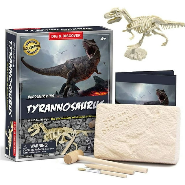 Dinosaur Excavation Kits for Kids, Dino Dig Kits, Dinosaur Fossil ...