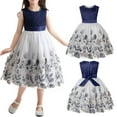 TSADFHJI Christmas Girls Dresses Size 10-12 Summer Long Summer Girl ...