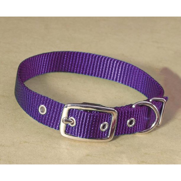 Hamilton 5/8" Single Thick Nylon Deluxe Dog Collar, 18 inch, Purple ...