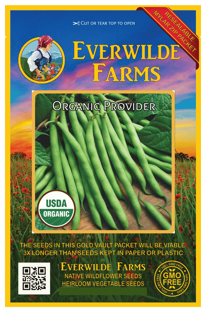 Everwilde Farms - 50 Organic Provider Green Bush Bean Seeds - Gold ...