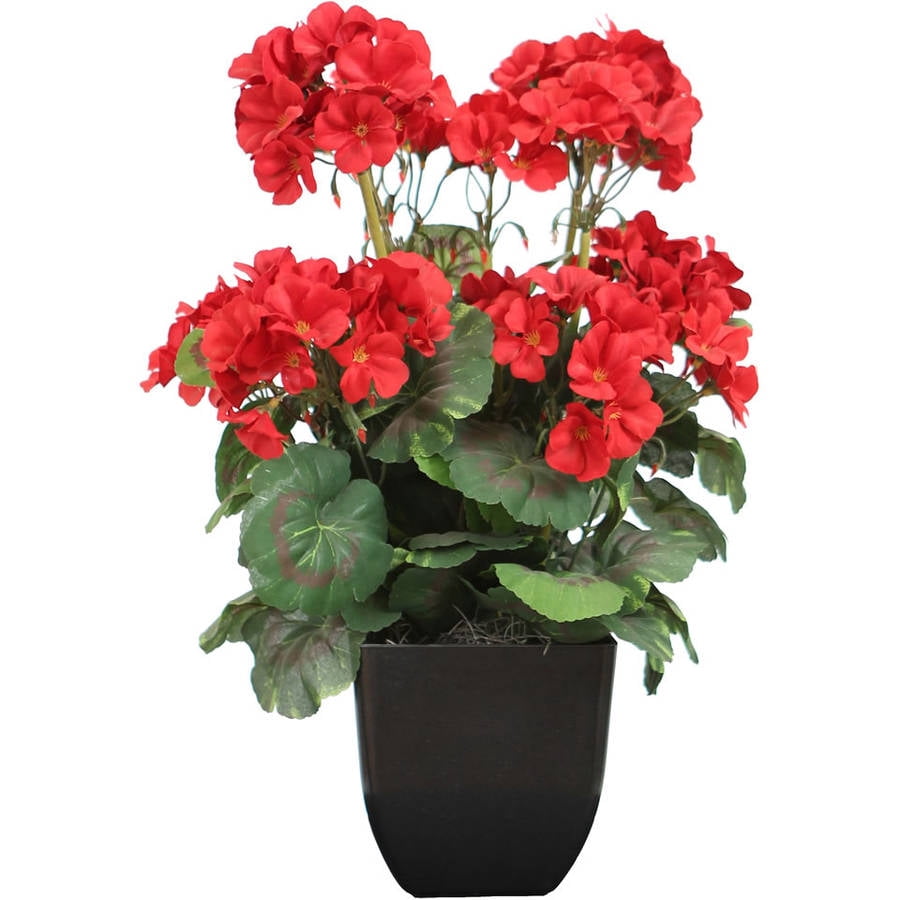 Vickerman 15" Red Geranium Bush in a Black Pot - Walmart.com