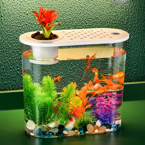 Coiry Plastic Clear Table Fish Bowl Hydroponics Soil Cultivation for ...