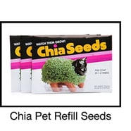 Chia Pet Puppy - Decorative Pot Easy to Do Fun to Grow Chia Seeds ...